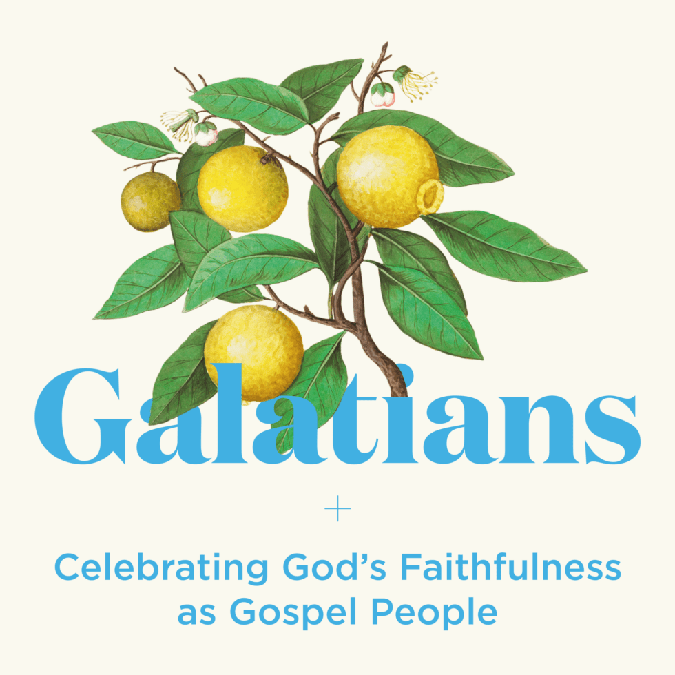 Mercy Presbyterian Church | Dallas, TX