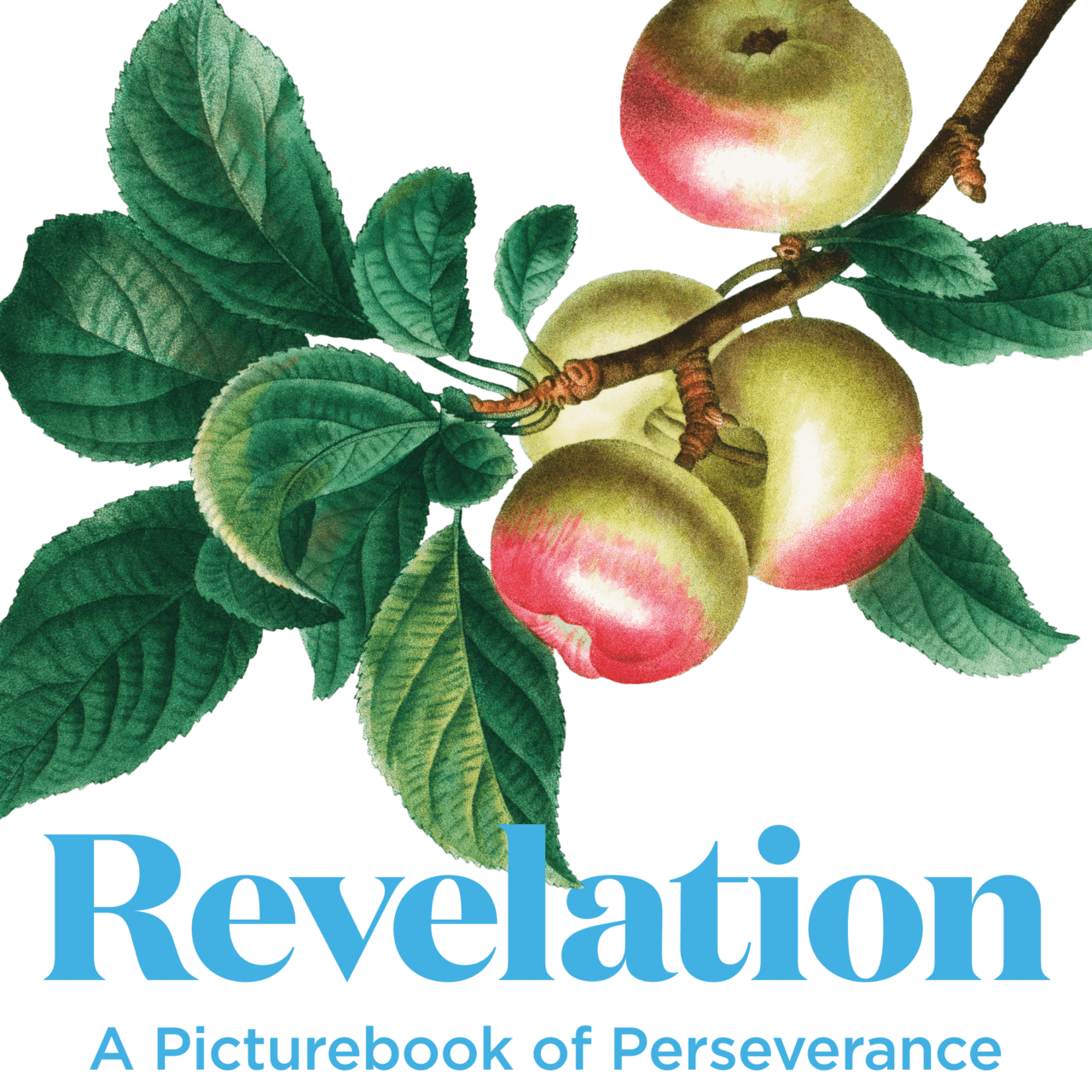 Mercy Presbyterian Church | Dallas, TX